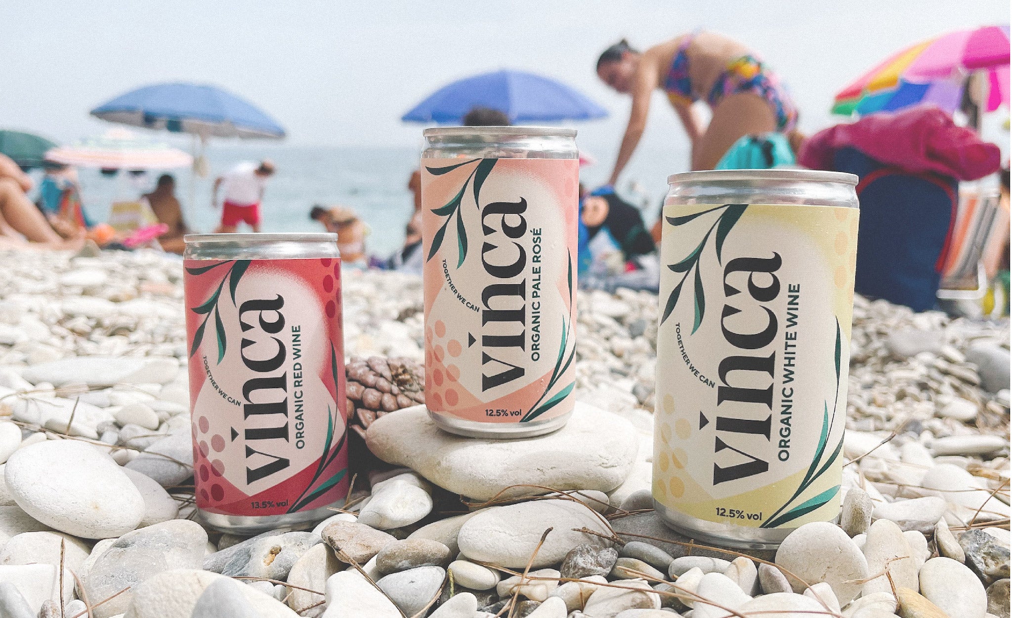 DISCOVER THE BENEFITS OF CHOOSING CANNED WINE – Vinca Wine