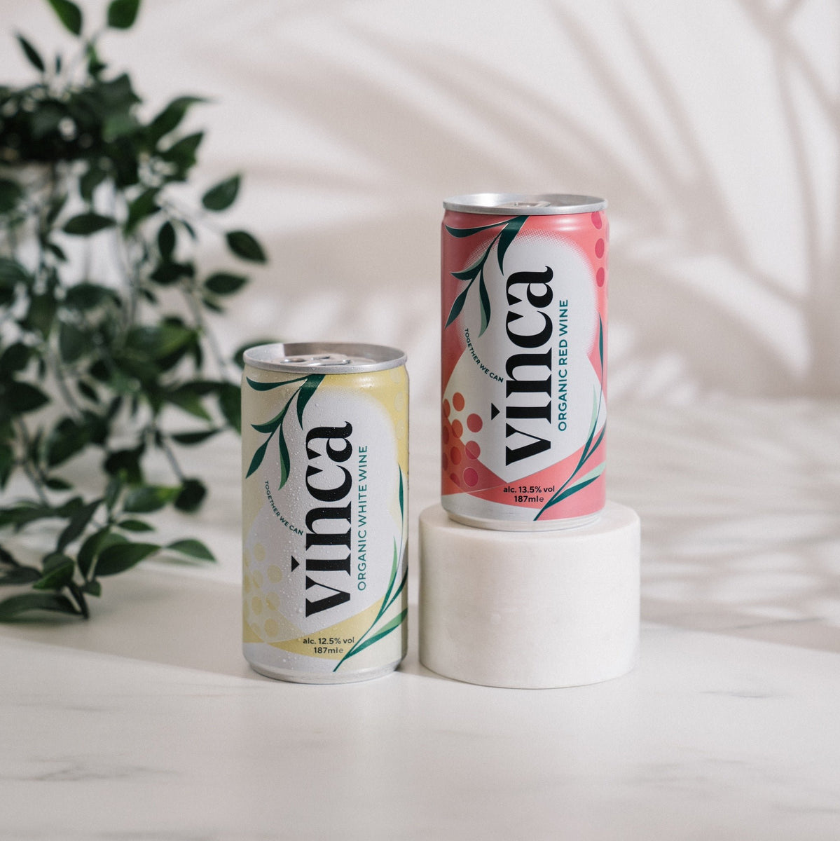 White and Red Wine Mixed Pack – Vinca Wine